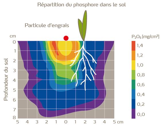 Diagramme De Fertilisation Engrais, Nutriments, Et Fertilité Des Sols